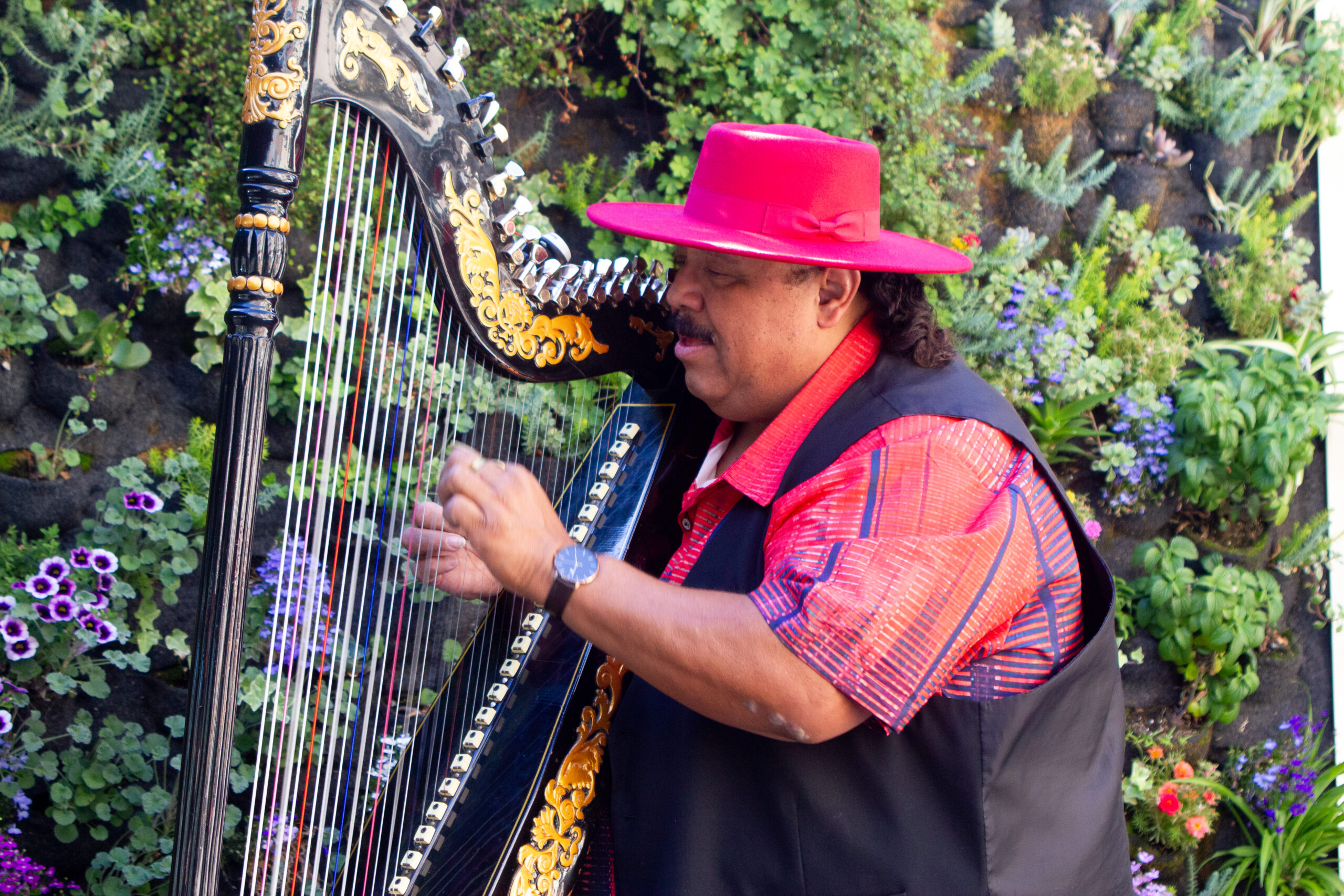 Listen to a Grammy-winning musician at the Park James - Storey Hospitality