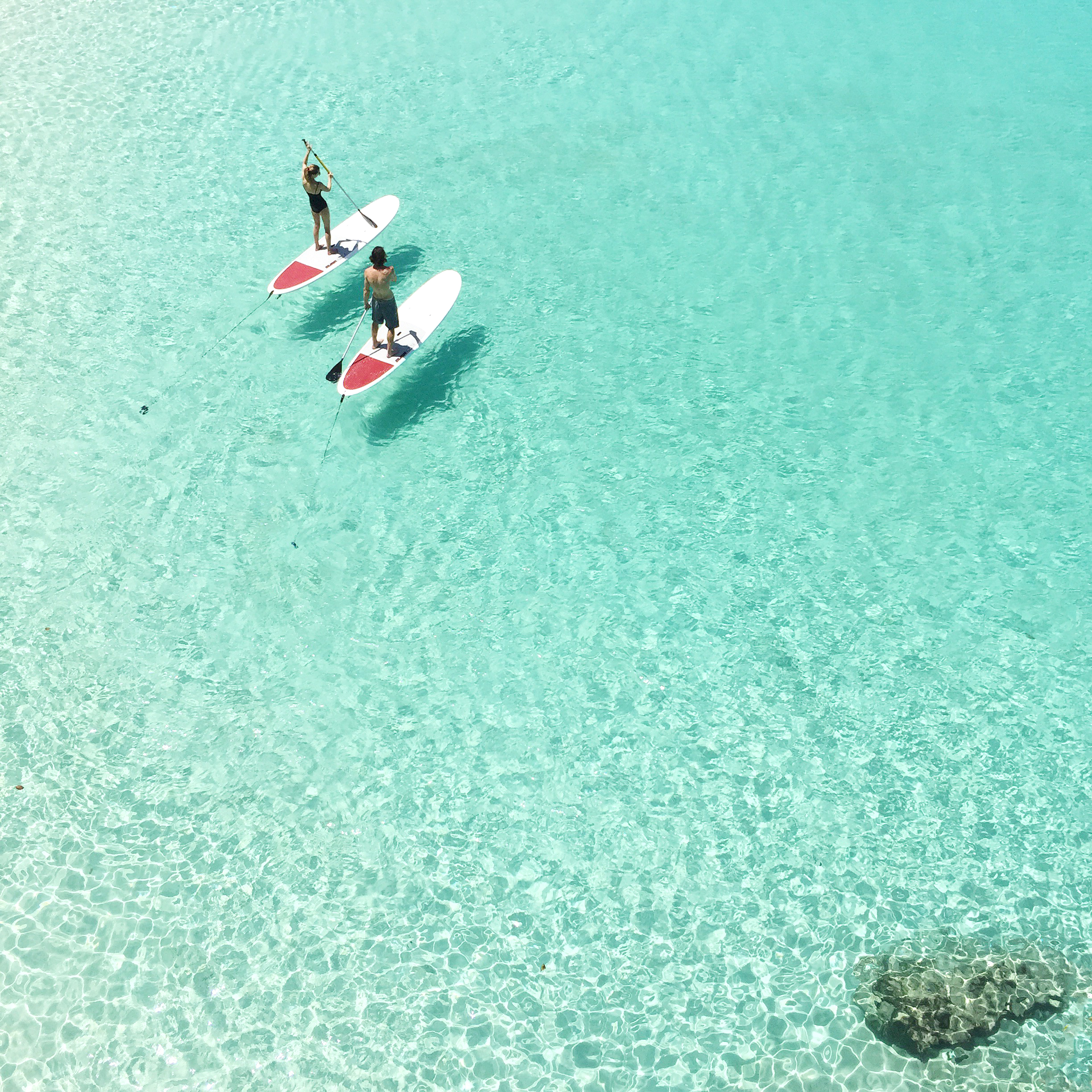 Spot sea turtles as you paddleboard the crystal clear waters of Meads ...
